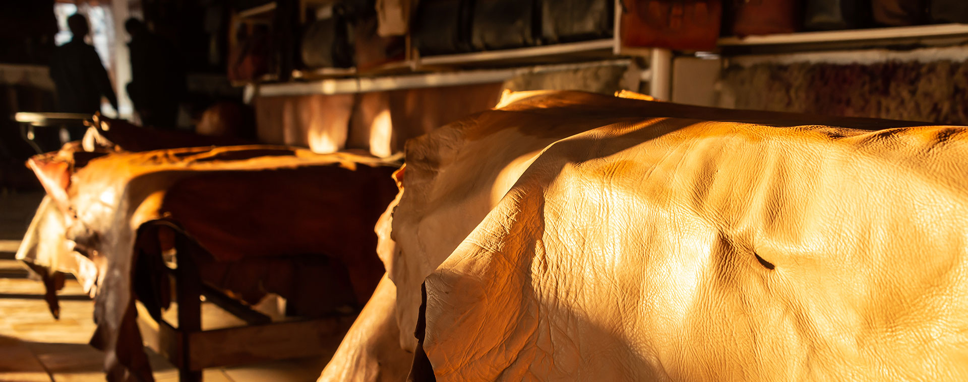 tannery-image | Hassall Trading